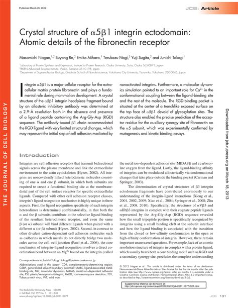 Pdf Crystal Structure Of α5β1 Integrin Ectodomain Atomic Details Of The Fibronectin Receptor