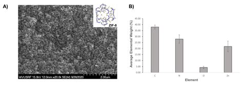 Video Author Spotlight Advances In Evaluating Human Lung Epithelial Cells Response To Metal