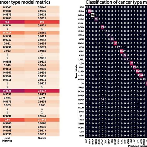 Classification Of Tumor Type Classification Of Cancer Type The Download Scientific Diagram