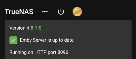 Truenas Container Gpu Passthrough And Hardware Transcoding Linux Emby Community