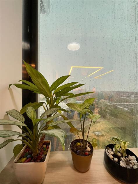 Harsh Jindal On Linkedin Reflectionsbyharsh 11 Comments