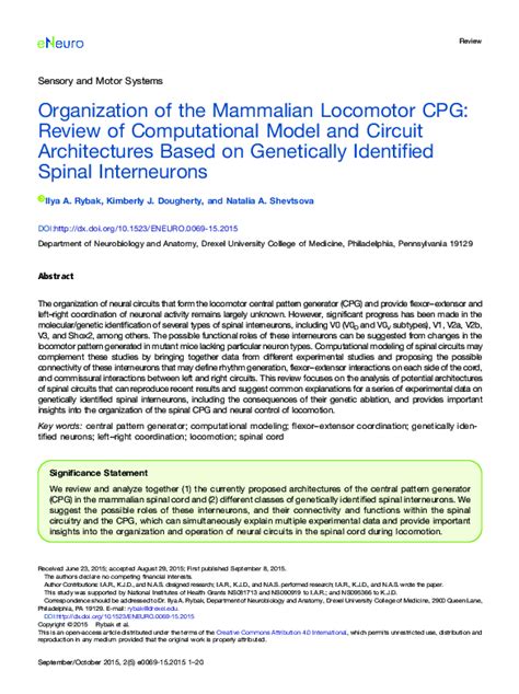 Pdf Organization Of The Mammalian Locomotor Cpg Review Of