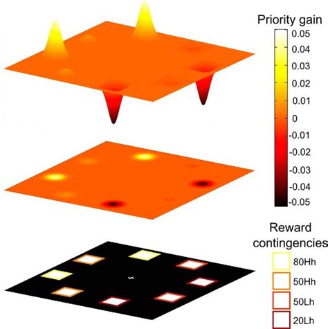 Modeling Experience Driven Attention With Priority Maps A Model