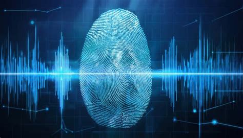 Intricate Fingerprint Placed On A High Tech Digital Background With