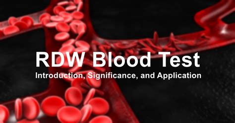 Blood Lab Work Rdw At Jackie Proctor Blog