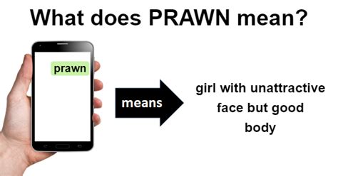 Prawn What Does Prawn Mean