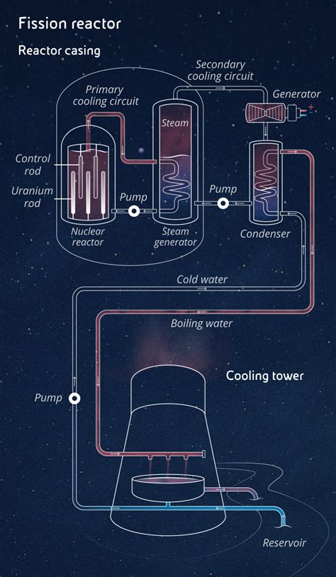 Nuclear Fusion Reactor Diagram