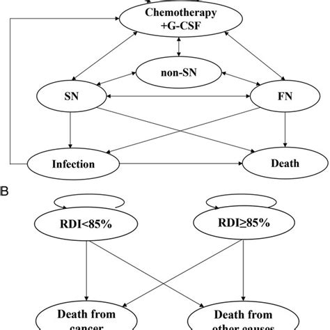 model structures including a decision analytic model a and a markov