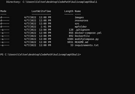 WordPress Vs Kali Docker Setup 0xcjg