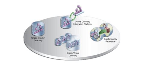 What Identity Management Products Are In Oracle Fusion Middleware 11g