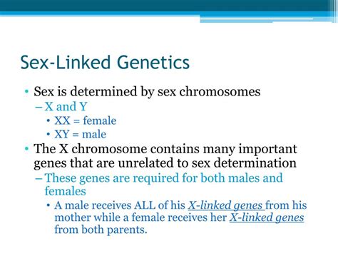 PPT Basic Principles Of Heredity PowerPoint Presentation Free Download ID