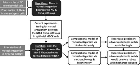 Flowchart Of Prior Work And Current Work Theoretical Work Appears In Download Scientific