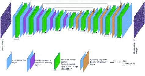 Fusionnet Architecture Download Scientific Diagram