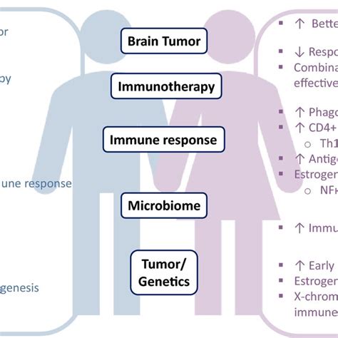 Factors Underlying Sex Differences In GBM Schematic Depicting Download Scientific Diagram