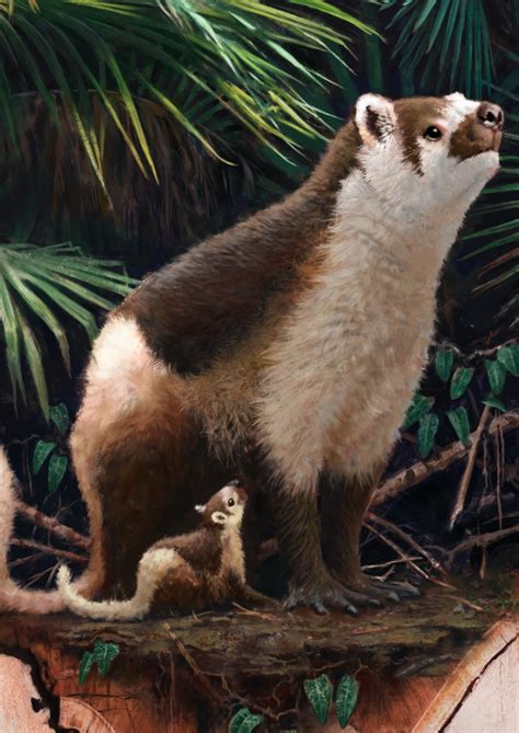 Prehistoric Mammals