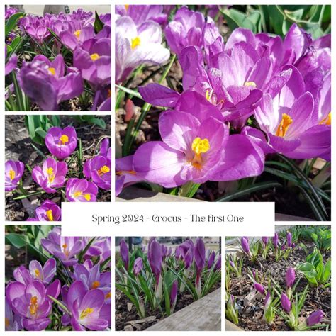 Embrace The Beauty Of Transformation As We Morph From Winters Slumber