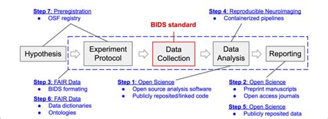 figure neuroimaging workflow in the brain imaging research center in