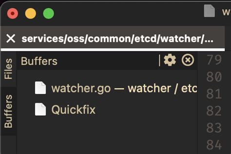 Ability To Disable Buffers In Guitabline · Issue 982 · Equalsrafneovim Qt · Github