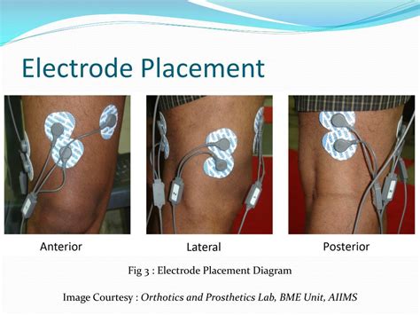 Ppt Real Time Locomotion Classification Using Transient Surface Emg Signals Powerpoint