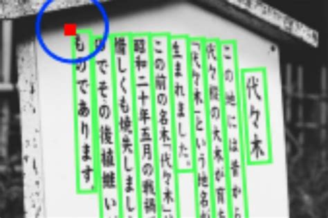 Do Data Text And Transcribe Image Annotation Labeling For Object Detection By Racelayade Fiverr