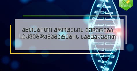 ვიტამინი სპორტული საკვებდანამატების ყველაზე დიდი ქსელი საქართველოში