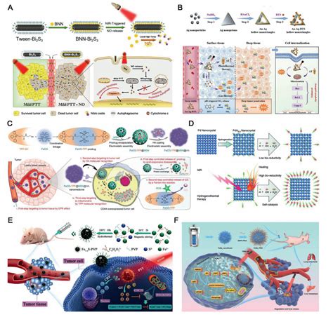 Advances Of Nanoparticles As Drug Delivery Systems For Disease Diagnosis And Treatment