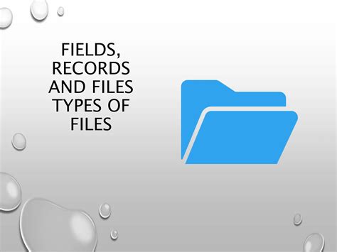 Fields Record And Files Types Of Files From Usage Point Of You Pptx