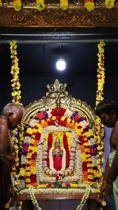 Kottankadu Kovil Kodai Festivalkovil Youtube