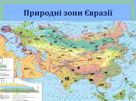 Презентація до уроку природознавства для 4 класу Євразія