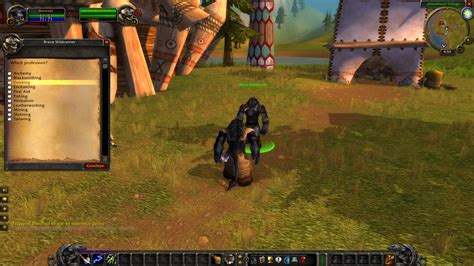 Wow Classic Early Skinning Mining And Other Profession Trainer Locations