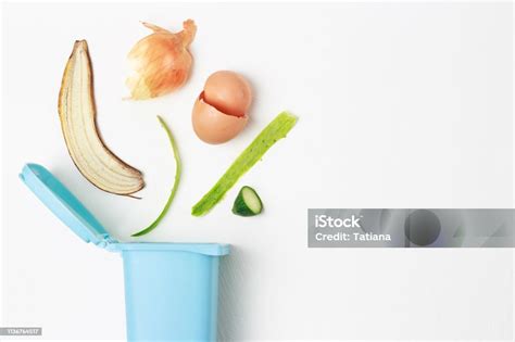 유기 폐기물 및 쓰레기통 흰색 바탕에 쓰레기 분류의 개념 쓰레기에 대한 스톡 사진 및 기타 이미지 쓰레기 생물학 음식 Istock