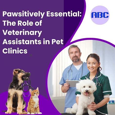 Pawsitively Essential The Role Of Veterinary Assistants In Pet Clinics