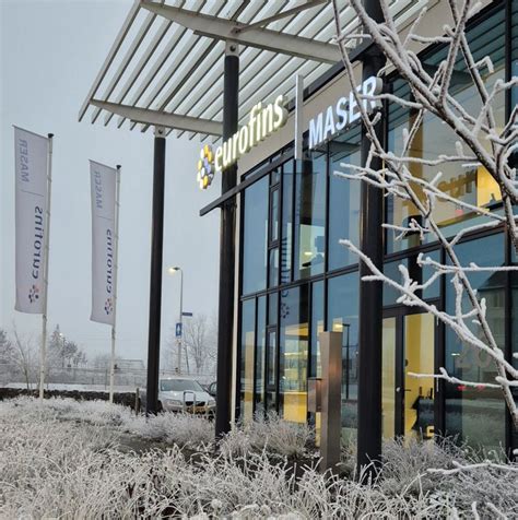 Zo Sprookjesachtig Ziet Ons Pand Eruit Na Het Vergroeningsplan Dat Vebego Groen Afgelopen Zomer