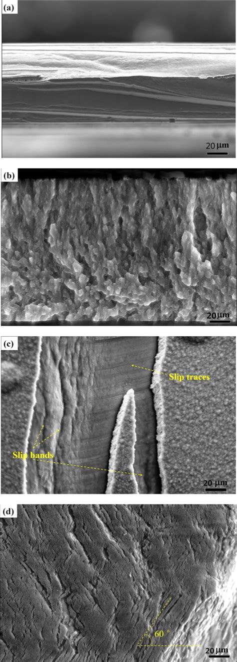 Analysis On Fracture Morphology Of Sample A Fracture Morphology Of Download Scientific