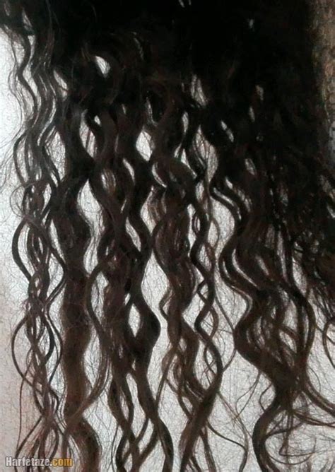 عکس پروفایل دخترانه با موهای فر بدون چهره و بدون متن استوری دخترونه مو فرفری