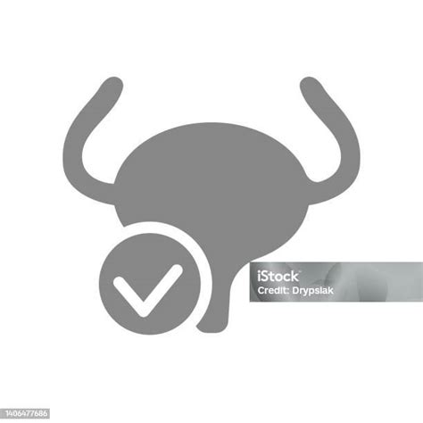 진드기 체크 마크 회색 아이콘이있는 비뇨기 방광 건강한 장기 기호 개선에 대한 스톡 벡터 아트 및 기타 이미지 개선 건강 진단 건강관리와 의술 Istock