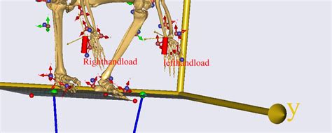 ERROR OBJ MCH KIN AnyMocapModel Any InverseDynamicStudy InverseDynamics Kinematic
