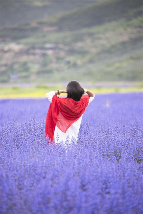 雲攝影｜一組絕美的薰衣草花海旅遊風景紀念照《原創》 每日頭條
