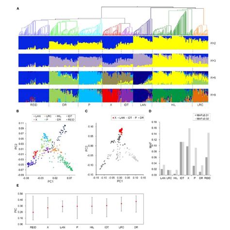 Phylogenetic And Population Structure Analyses Of A Chinese Maize