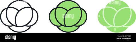 Cabbage Icon Linear Color Icon Contour Shape Outline Isolated On