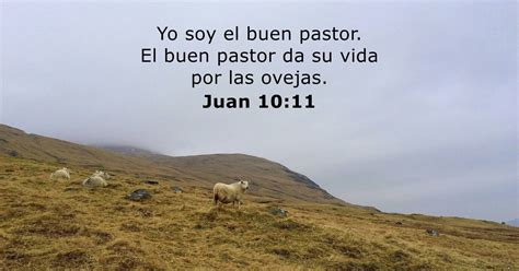Juan Vers Culo De La Biblia Dailyverses Net