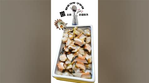 뿔소라 횟감으로 손질하기 뿔소라 뿔소라회 Youtube