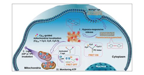 Reductase And Light Programmatical Gated Dna Nanodevice For