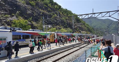단양 구경시장 팔도장터관광열차 탐방지 선정