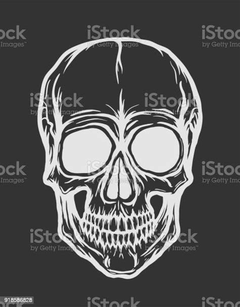 Skull Vector Isolated On Black Background Stock Illustration Download