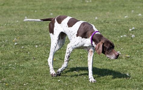 Debugging Embedded Real Time Systems Circuit Cellar
