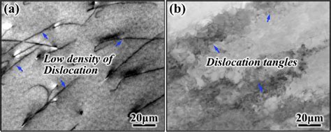 Stem Bf Images Showing The Dislocation Distribution For The As Cast Download Scientific Diagram