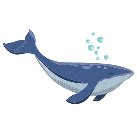 الحوت الأزرق على البحر المتجه أزرق حوت بحر Png والمتجهات للتحميل مجانا