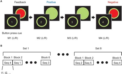 Sequence Learning Task A Participants Executed A Sequence Of Four Download Scientific