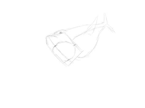 How To Draw Megalodon With Pencil Step By Step Drawing Tutorial
